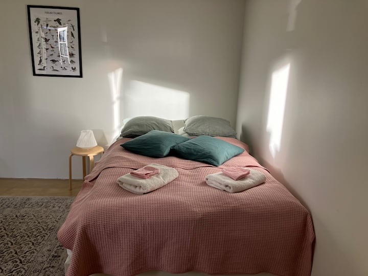 Charming Down Town Studio Apartment - Iceland