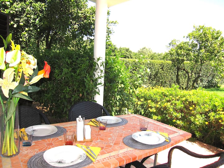 Casa Da Horta Apartamento 14 - Faro District