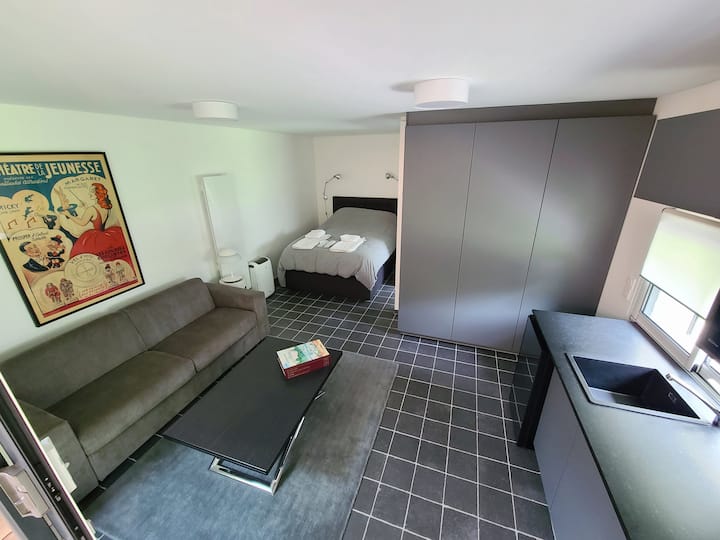 Pièce De 24 M2 Avec Accès Privatif - Saint-Maur-des-Fossés