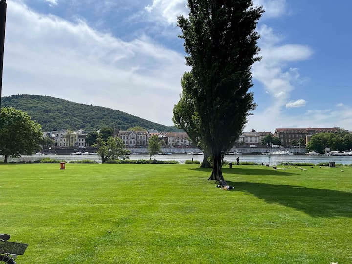 Top Lage Nahe Kliniken Und Neckarwiese - Heidelberg