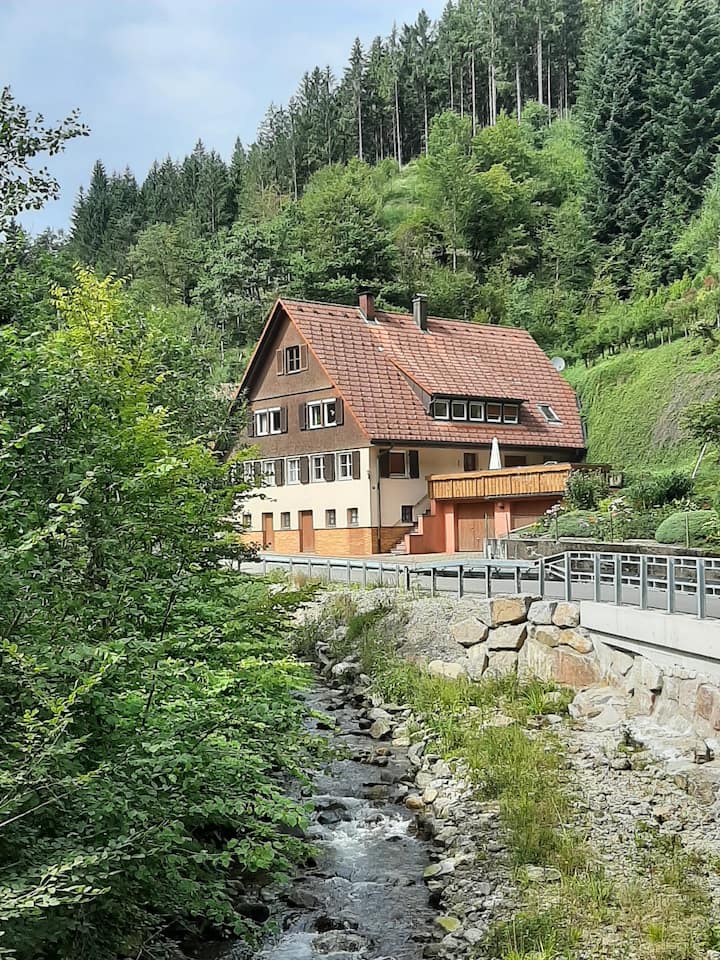 Am Wildschapbach - Black Forest