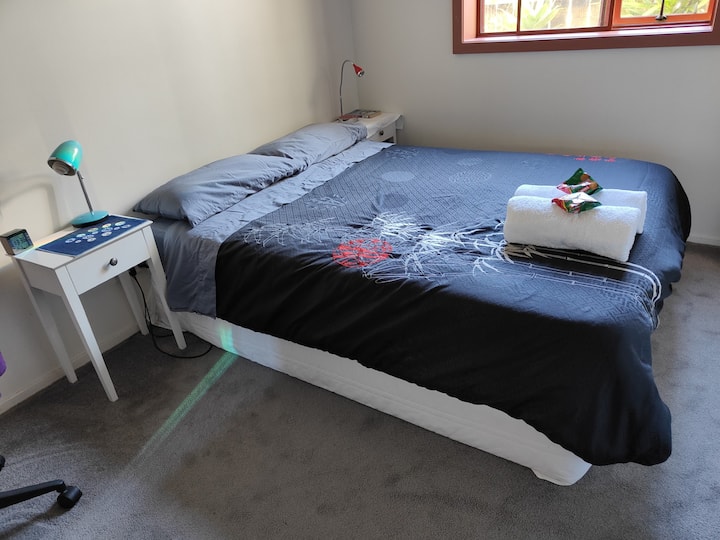 Sunny Town House In Newtown - Wellington