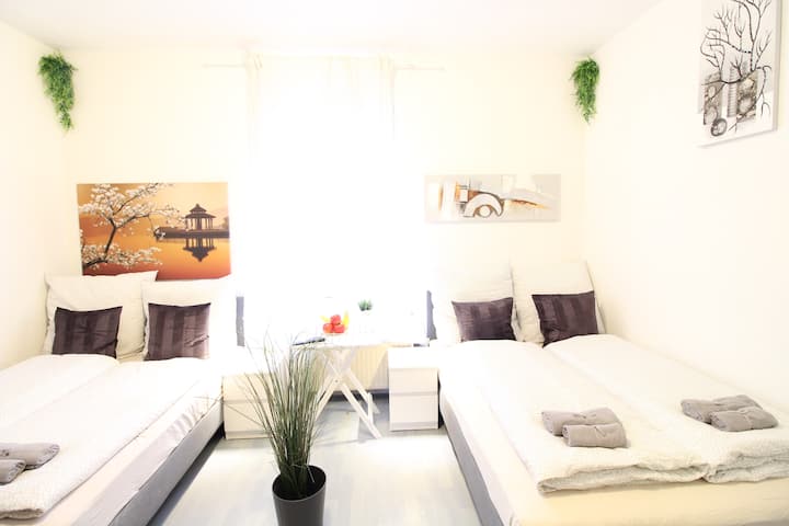 Central W/ Fast & Free Wifi & Netflix & Disney+ - Ulm
