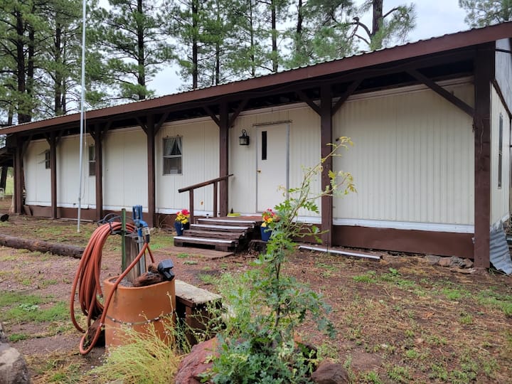 Burrell Alpine Getaway - Alpine, AZ
