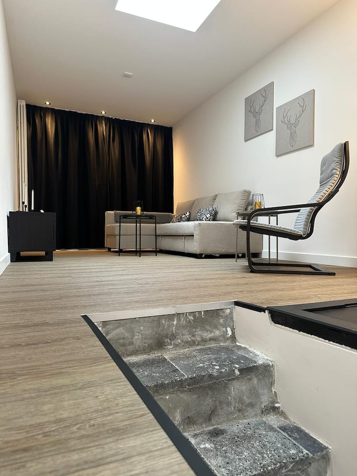 Luxe Pas Gerenoveerd Monumentaal Appartement - Maastricht