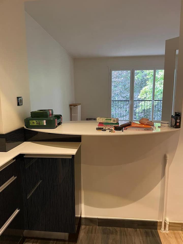 Appartement Familial Proche Bois Et Rer A - Nogent-sur-Marne