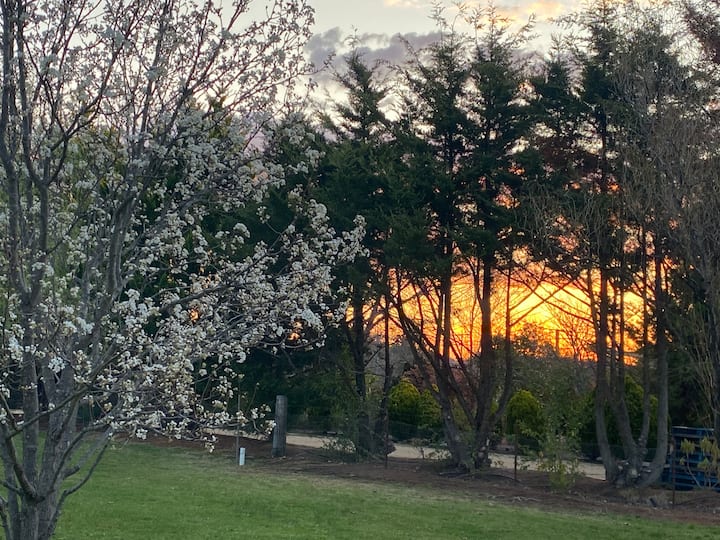 Peace And Tranquillity: Walk To Town, Private - Stanthorpe