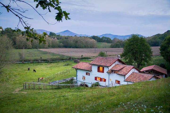 Le Moulin Du Xviii èMe - Espelette