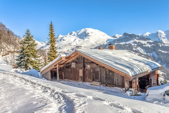 Grand Appartement Lumineux Vue Exceptionnelle - Le Chinaillon