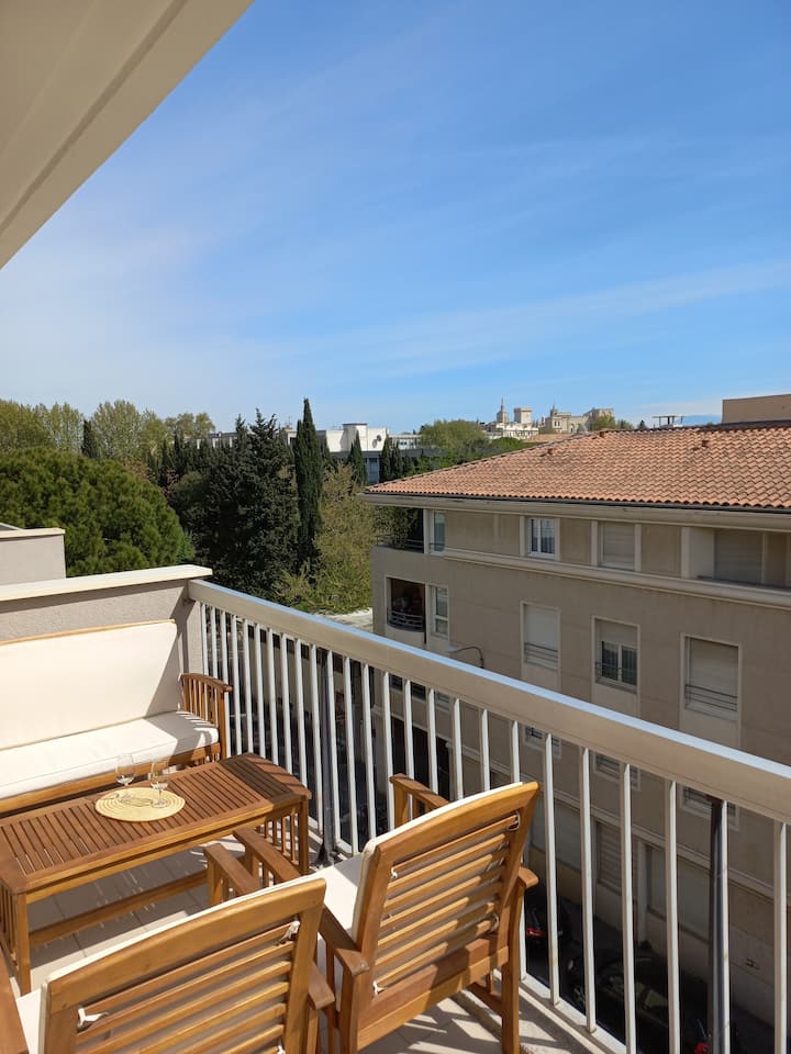 Spacieux T1 Intra-muros Avec Terrasse Vue Palais - Avignon