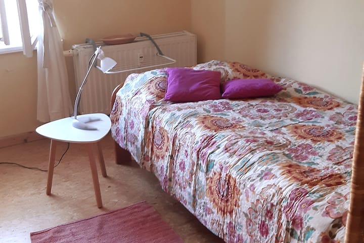 Gemütliches, Grosses Zimmer Zentrale Lage - Dresda