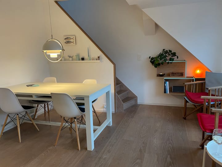 Duplexappartement Met Groot Dakterras - Ostende