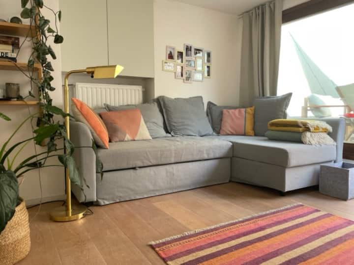 Duplexappartement Met Groot Dakterras - Ostende