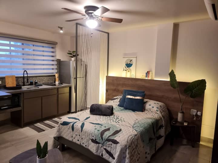 Departamento En Zona Tec - Monterrey