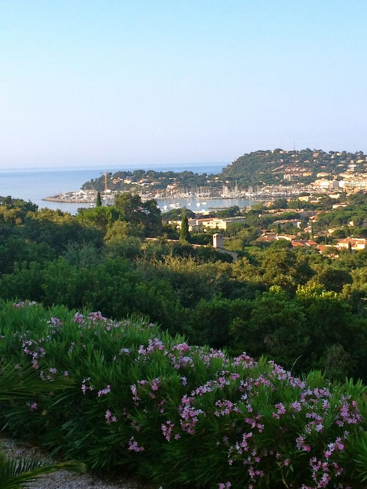 Vue Exceptionnelle ! - Cavalaire-sur-Mer