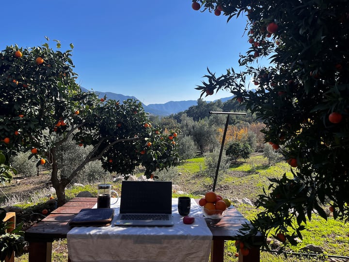 Olympos Portakal Village
Doğa, Deniz Ve Siz - Çıralı