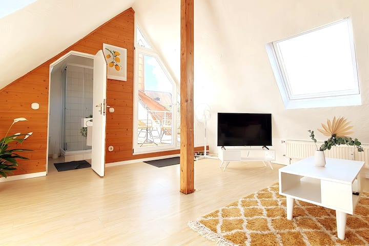 Romantic-apartment. Roof Terrace & Forest View. - Annweiler am Trifels
