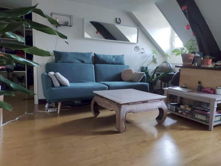 Deux Pièces Canal Saint Martin/marais - Paris