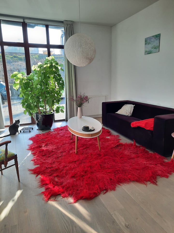 Een Pracht Appartement - Ámsterdam