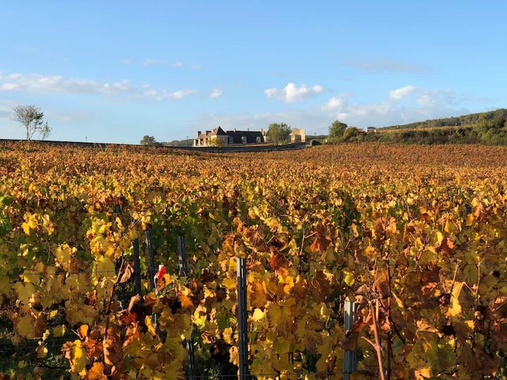 Grande Maison Au Cœur Du Vignoble Clos De Vougeot - Nuits-Saint-Georges