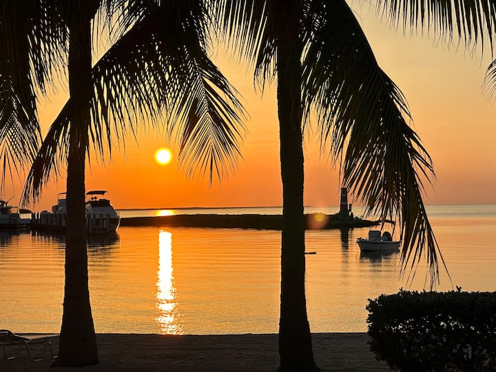 Islamorada Escape-executive Bay - Islamorada, FL