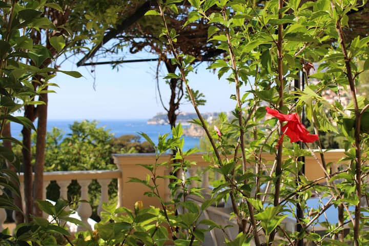 Appart Villa Splendide Vue Mer 5 Minute Des Plages - Roquebrune-Cap-Martin