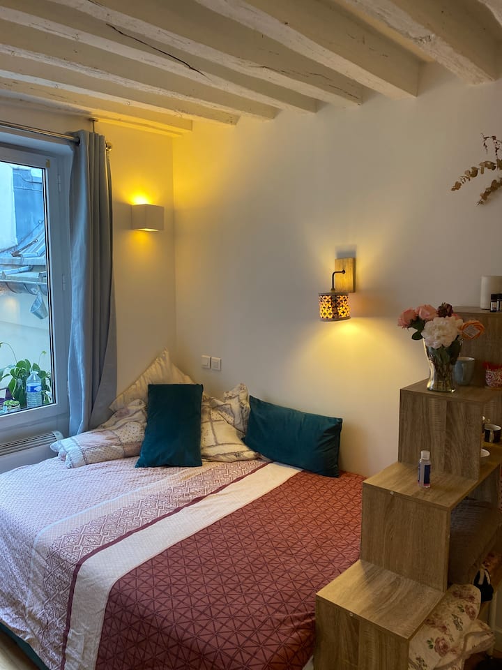 Appartement Calme à Odéon 75006 : « Notre Dame » - Chatelet - Les Halles - París