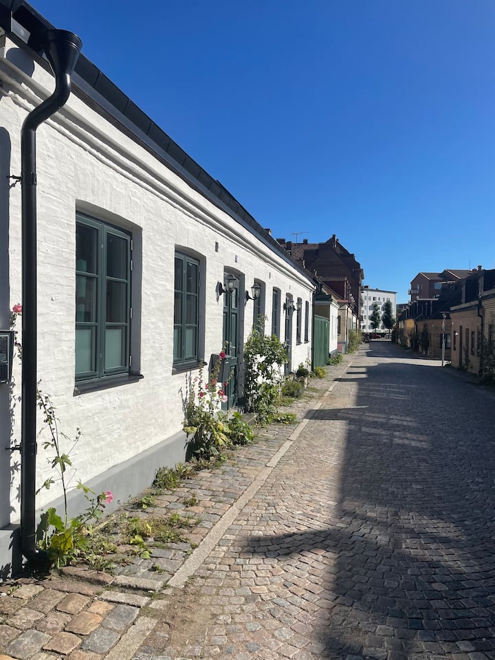Mysigt Gatuhus - Lund