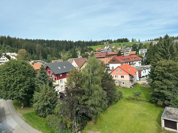 Quit Apartment For 1-3 Persons In Black-forest - Furtwangen im Schwarzwald