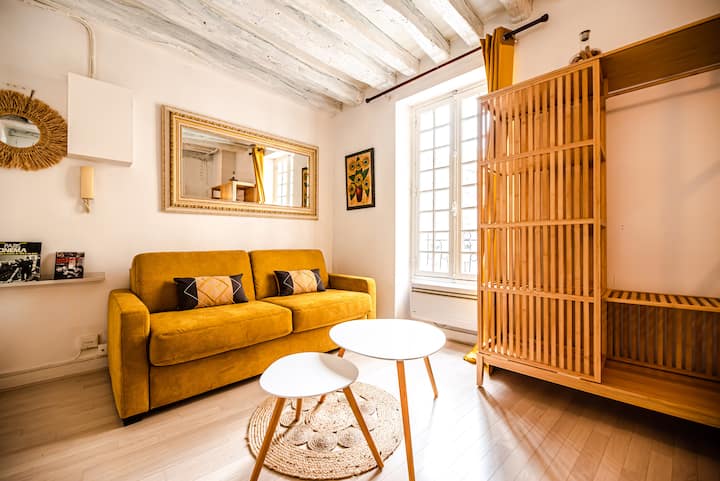 Studio Lumineux Pour 2 Pers Au Coeur De Paris - Paris