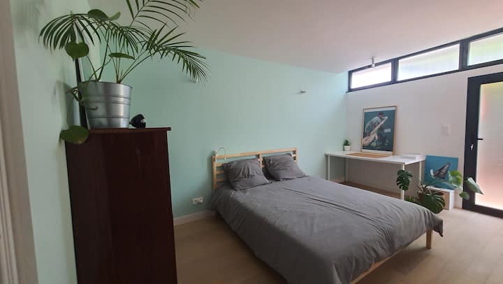 Chambre Dans Maison Proche Aéroport Et Airbus - Blagnac