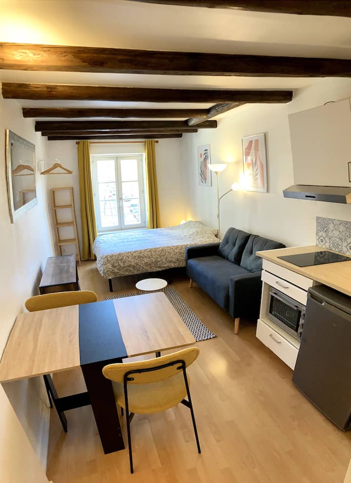 Confortable Studio Centre Ville - Nancy