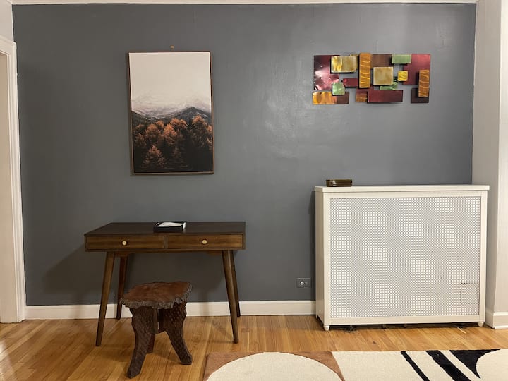 Immaculate Apartment In Chicago - Fuller Park - Chicago
