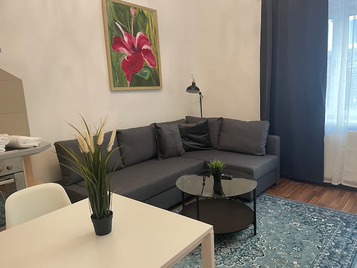 1br Apartment - 10 Min To Center Netflix & Wi-fi - Vienna
