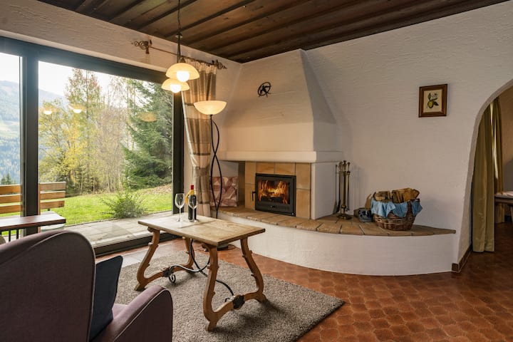 Landhaus Blaubeerhügel - Wald-hügel-lage - Schladming