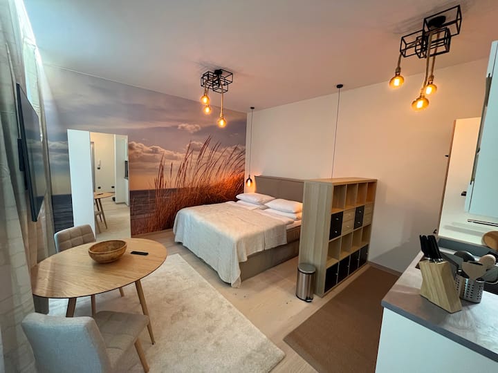 Classic Appartment - Vienna