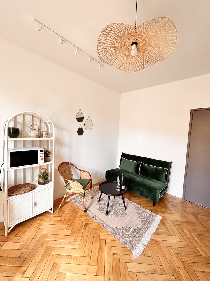 Appartement Aux Arcades Mulhouse Hyper Centre - Mulhouse