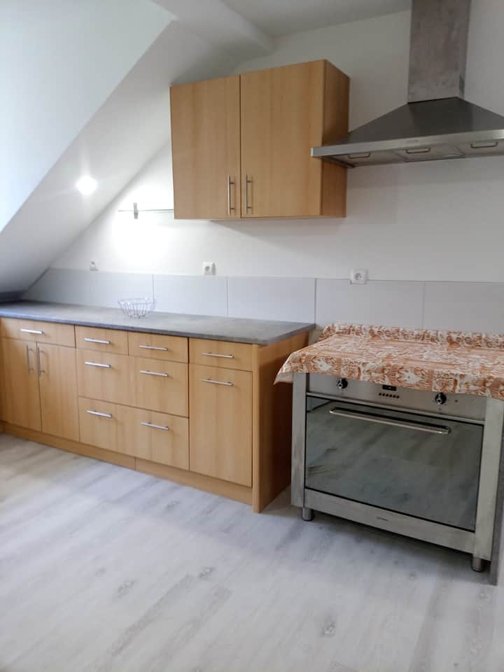 Gîte Maisons Bleues - Rhinau