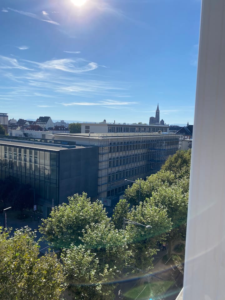 Strasbourg : Très Bel Appartement - Strasbourg