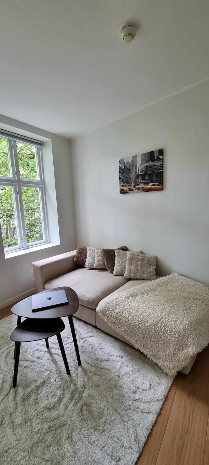 Meget Sentral, Lys, Koselig Og Skjermet Leilighet - Oslo