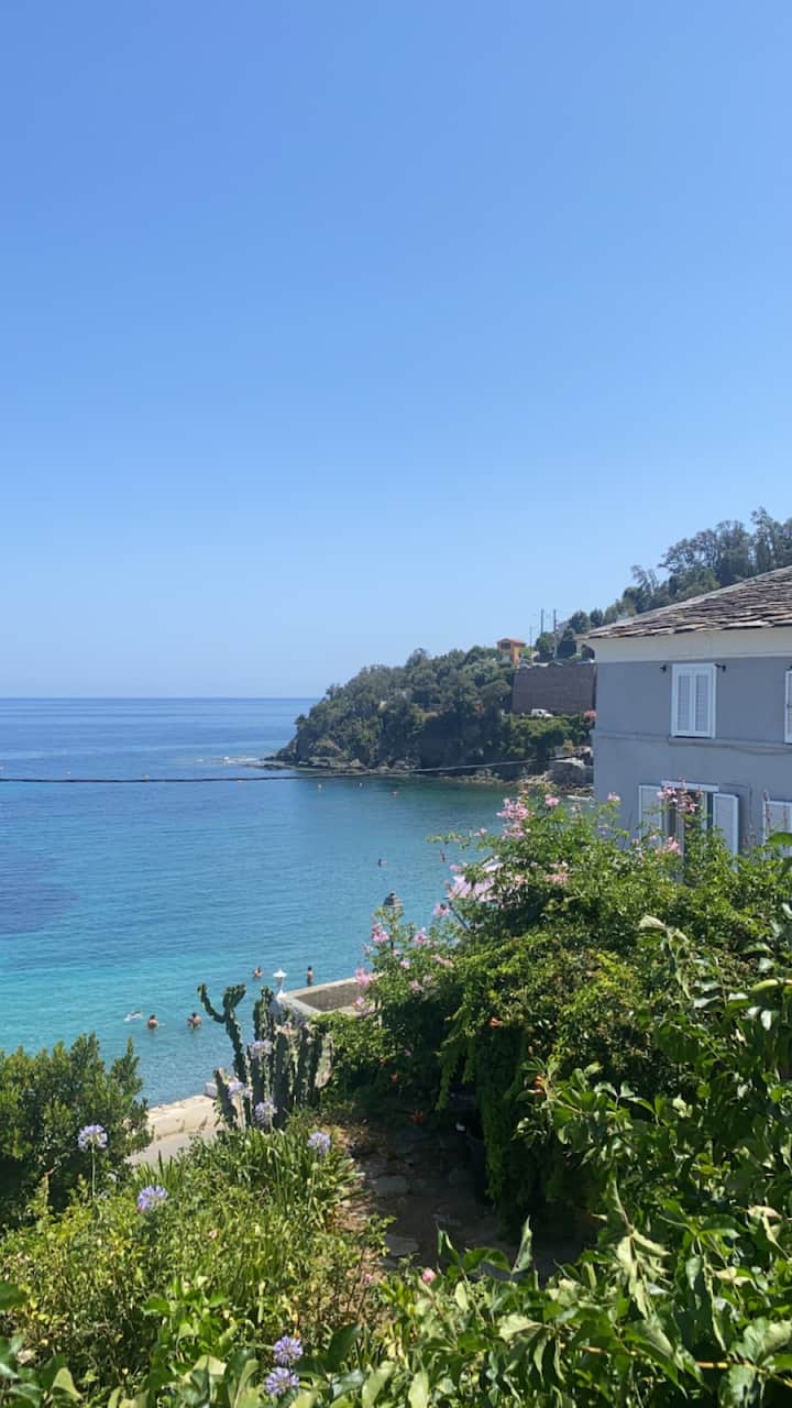 Maison En Bord De Mer Lavasina - Bastia