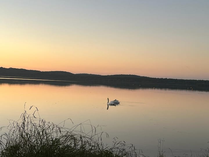 L'odysée Mobil-home Proche Mimizan - Mimizan