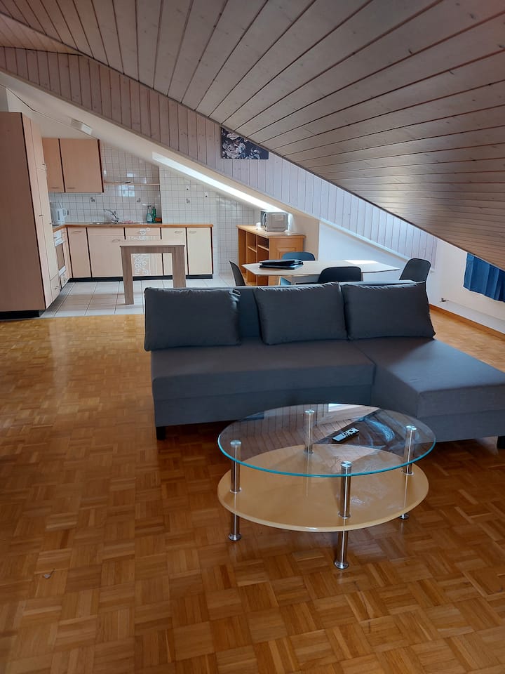 Fribourg Centre Proche Gare, Université, Hôpital - Fribourg