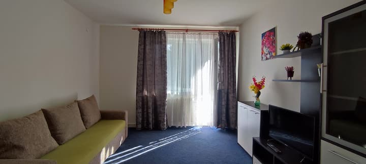 Apartament Zona Vivo - Doua Camere Decomandat - Baia Mare