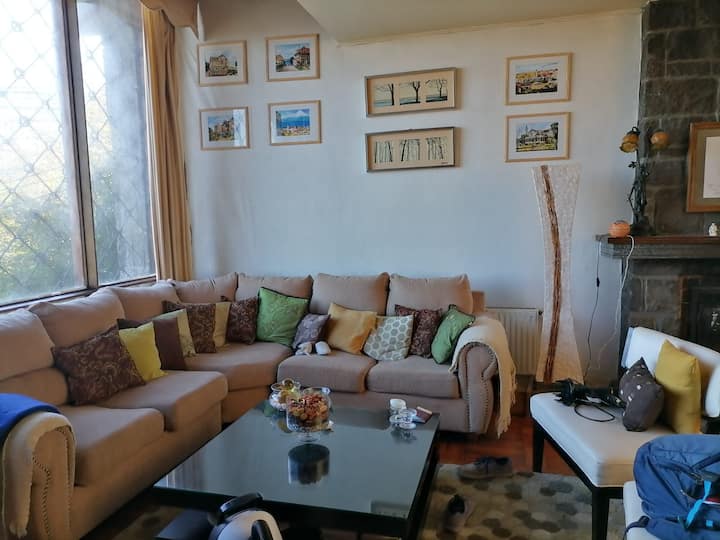 Habitaciones En Zona Centro - Puerto Montt