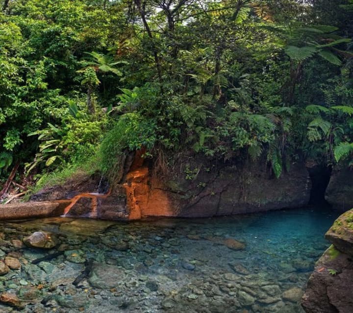 Titou Gorge Luxury Inn - Roseau