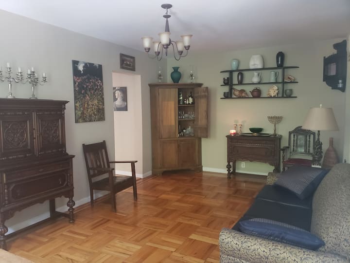 Unique Spacious Apartment In Manhattan, 2 Bedrooms - Bronx, NY