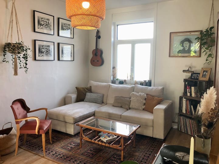 Charmante Maison Lille Sud-ouest - Lille