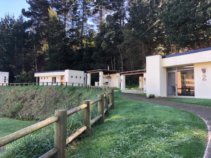 Departamento En Pingueral - Tomé