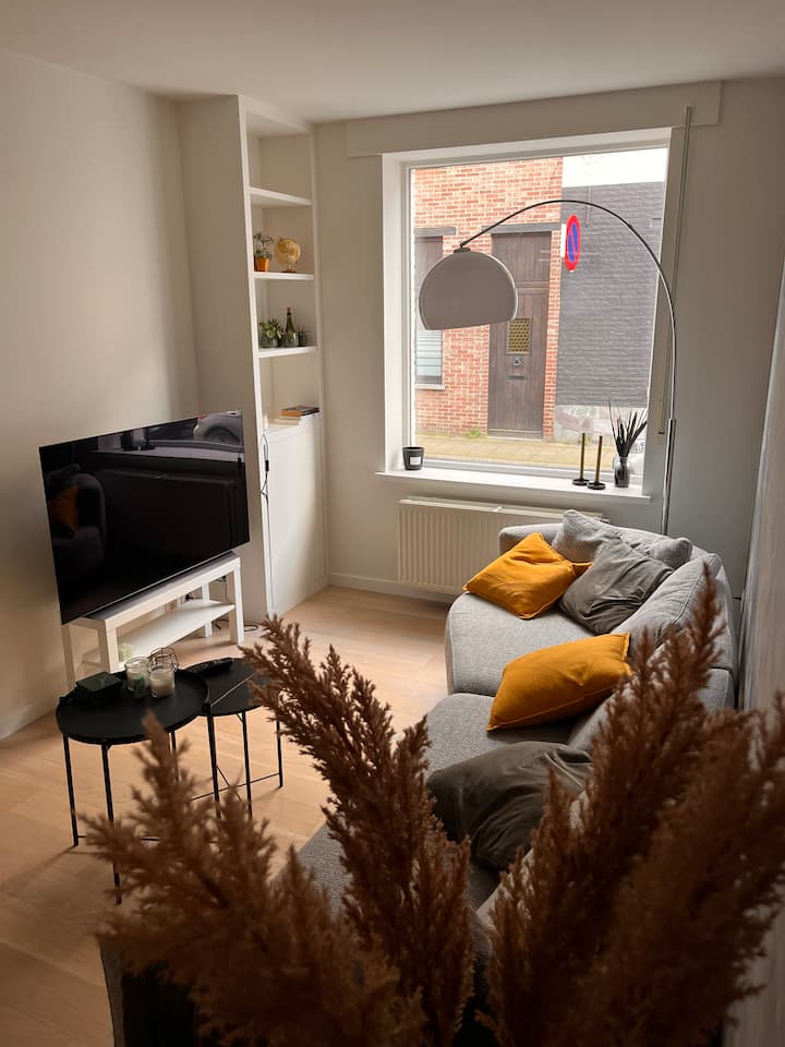 Faces Of Leuven - Leuven (Louvain)